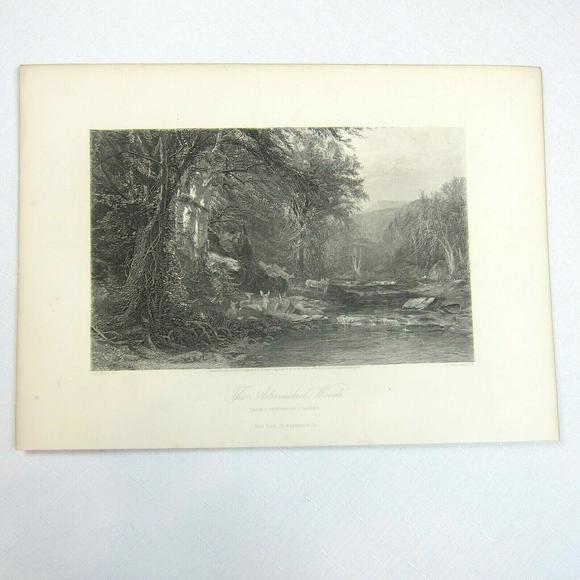 Other | Antique 1874 Steel Engraving Print The Adirondack Woods From Jm ...